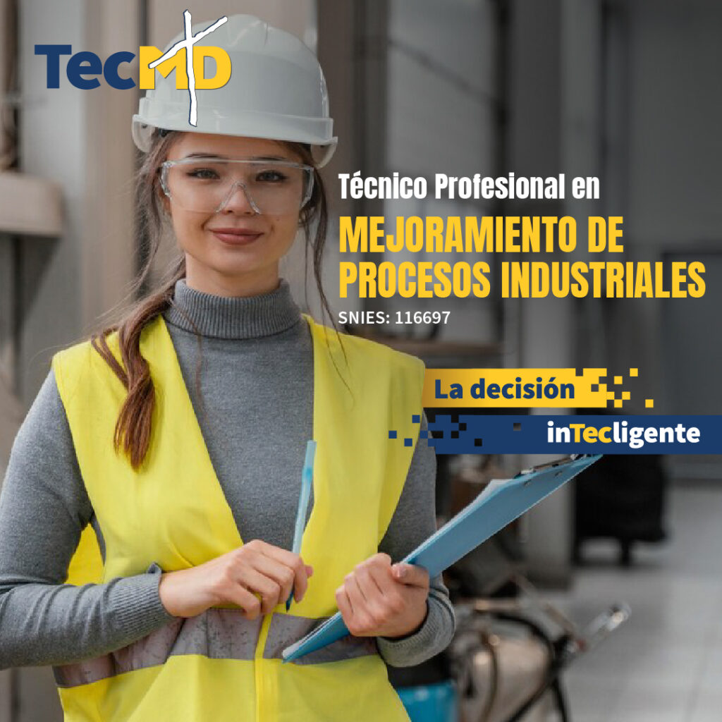 Técnico Profesional en Mejoramiento de Procesos Industriales ...
